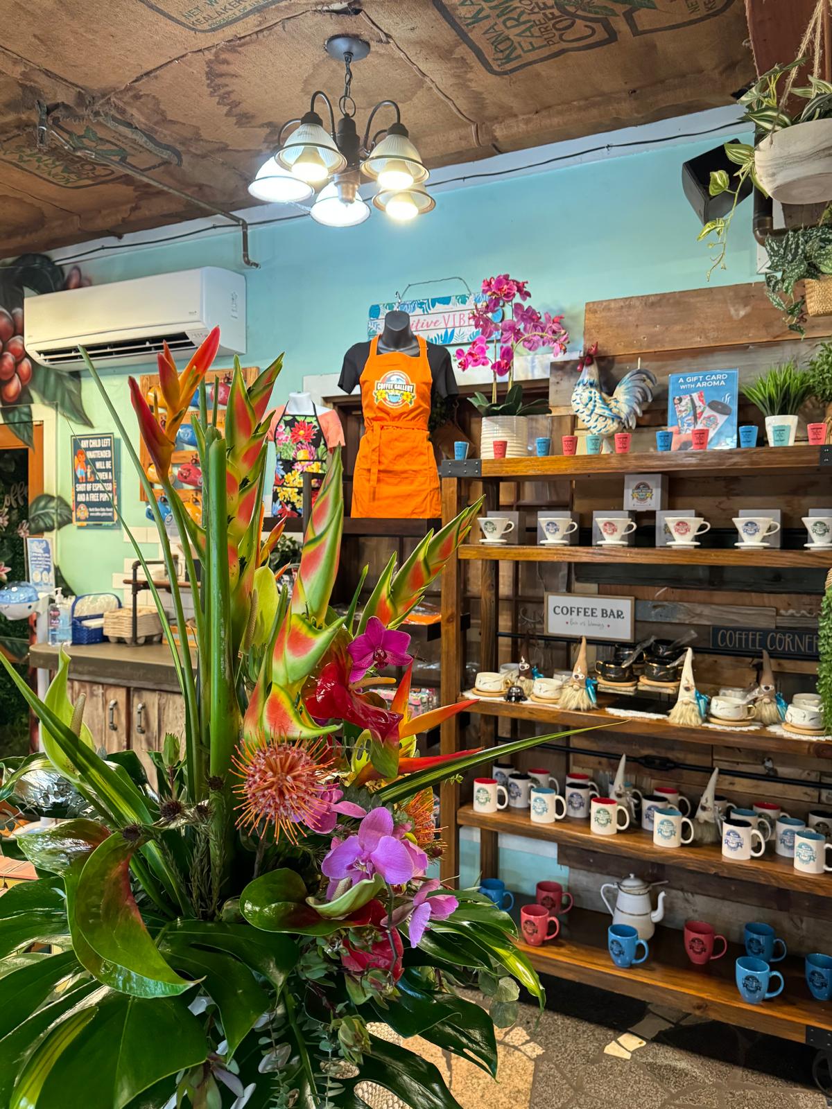 Best Gourmet Hawaiian Coffees Roasted in Oahu | Coffee Gallery Haleiwa ...